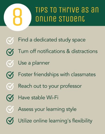 How To Ace Your Online Classes Tips From Top Students Schooling Online